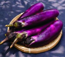 Nu Farm – FRESH VEGETABLE FROM FARM
